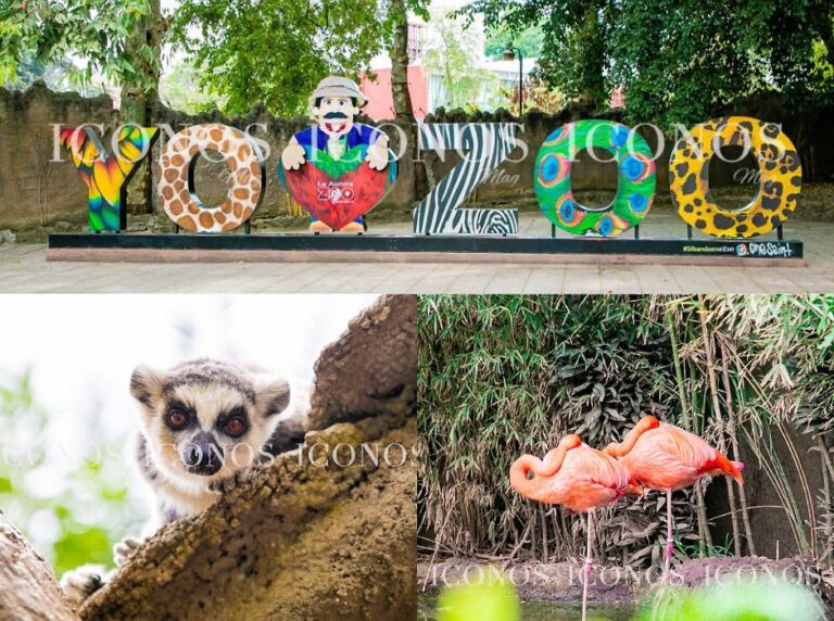 Zoológico La Aurora Guatemala: el más grande de Centroamérica